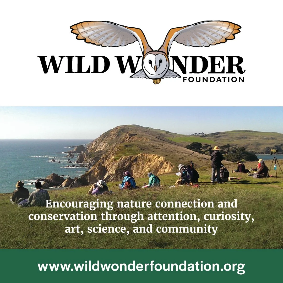 Wild Wonder Logo Sticker Set — Wild Wonder Foundation