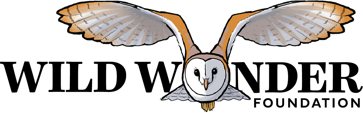 Your Quick Start Guide to Nature Journaling — Wild Wonder Foundation