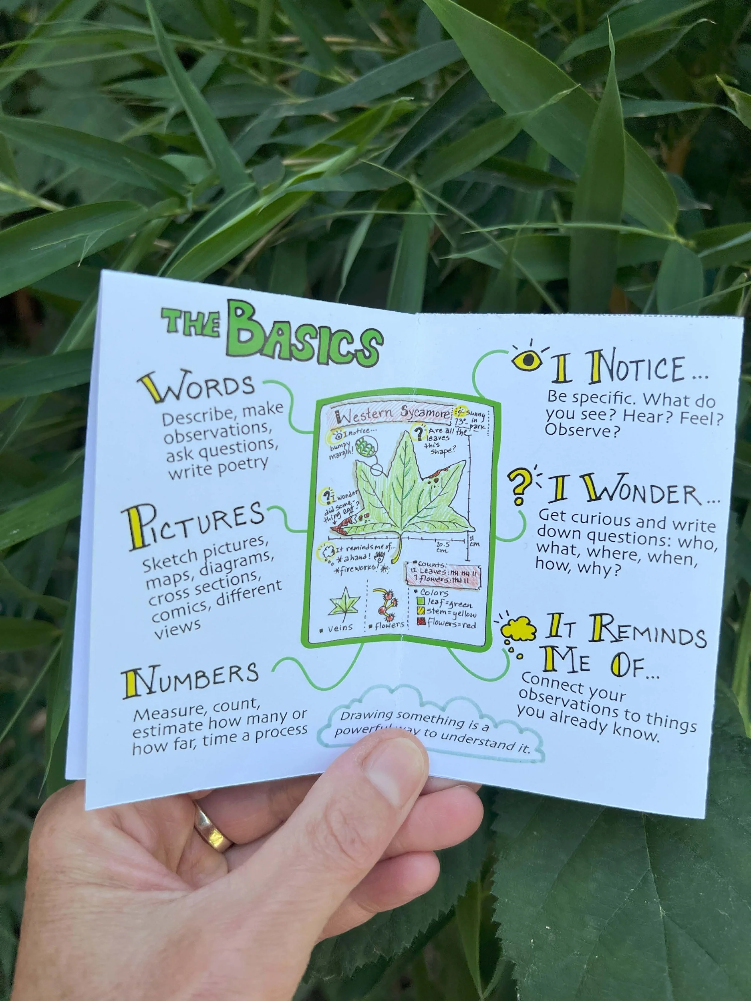25 Printed Zines: Your Quick Guide to Nature Journaling — Wild Wonder ...