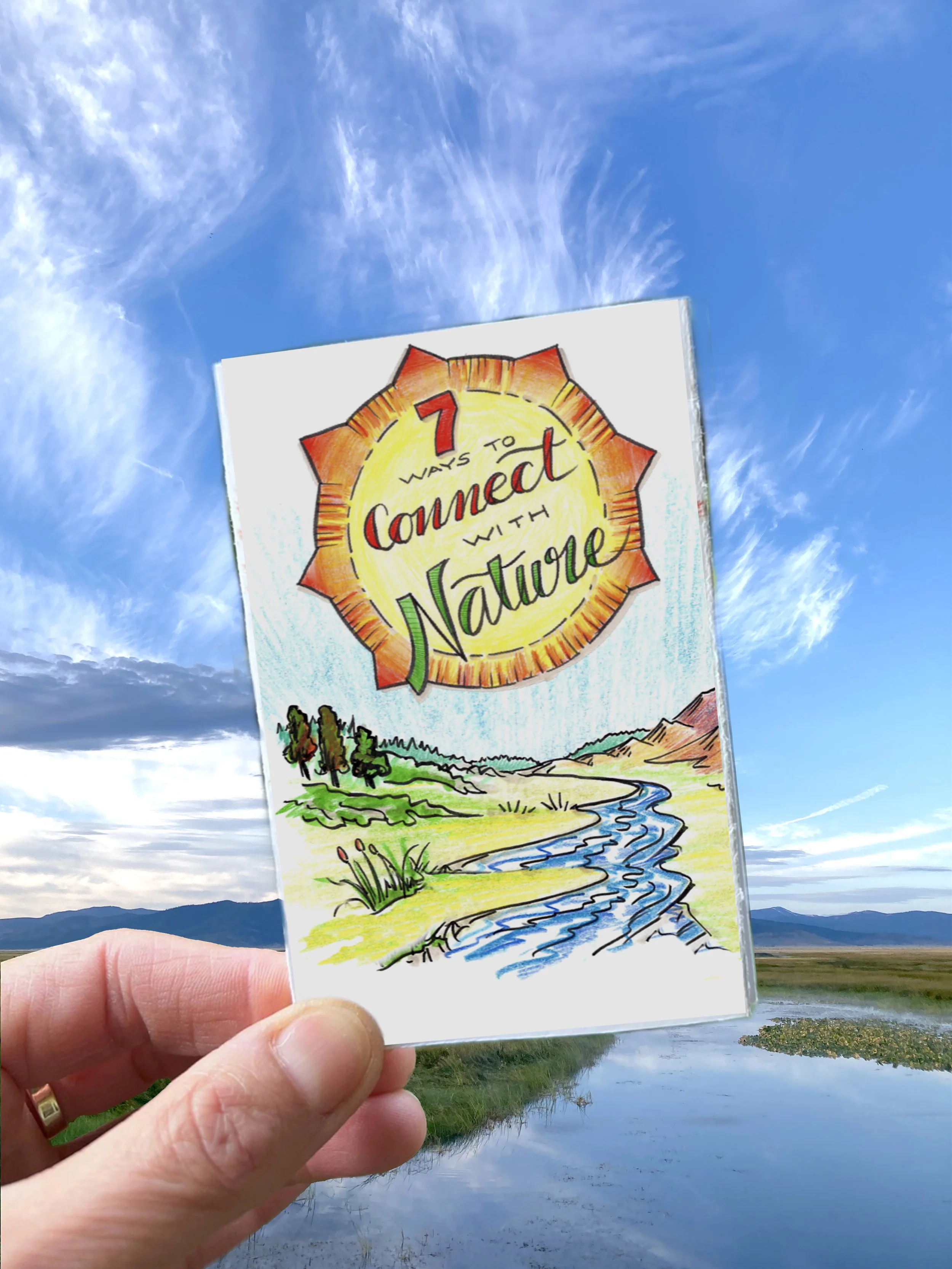 25 Printed Zines: Your Quick Guide to Nature Journaling — Wild Wonder ...