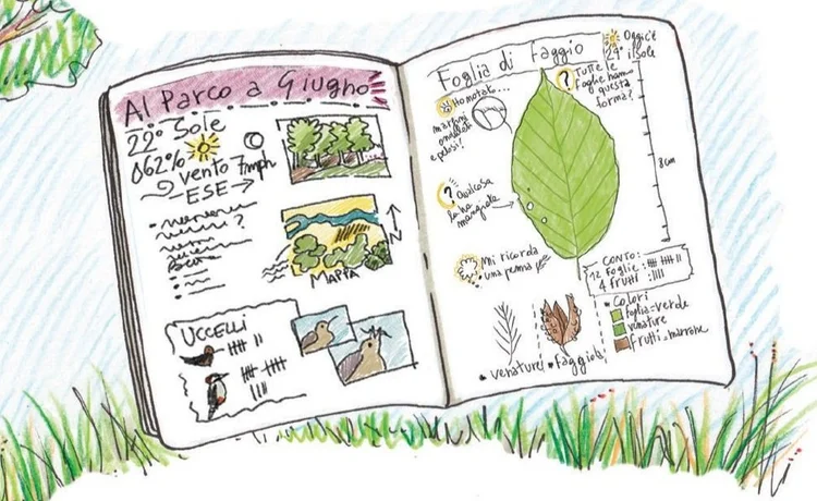 Free Download! Your Quick Start Guide to Nature Journaling — Wild ...
