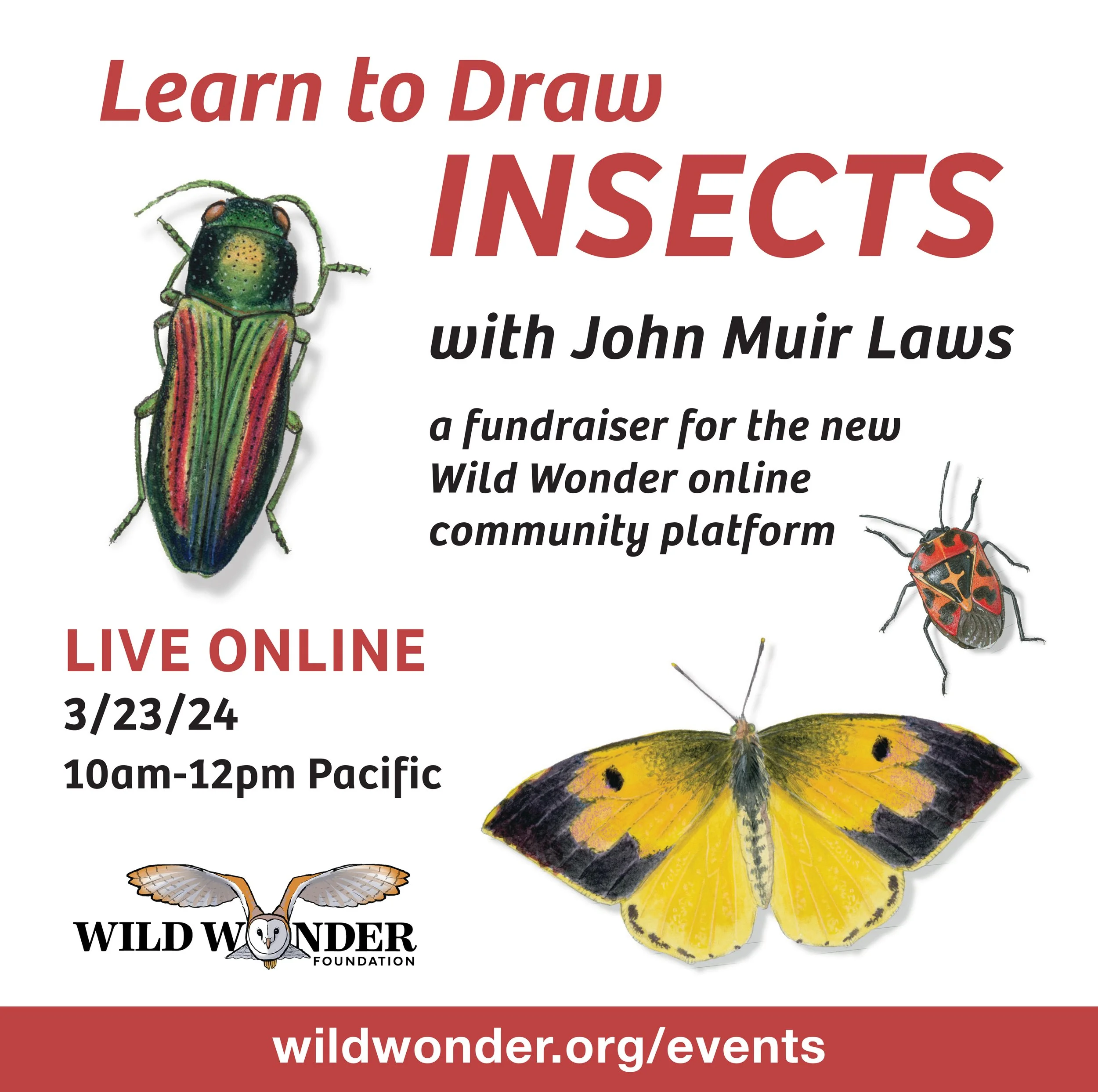Events — Wild Wonder Foundation