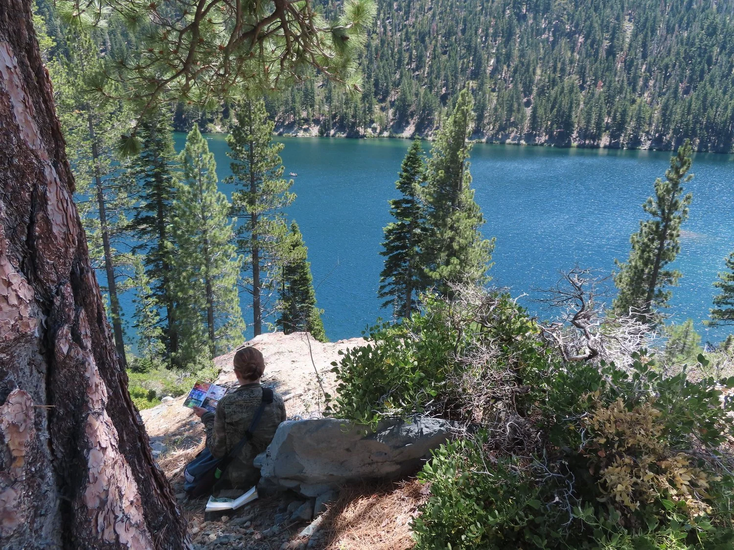2024 Nature Journaling Educator Workshop — Wild Wonder Foundation