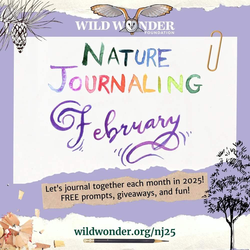 Wild Wonder Foundation