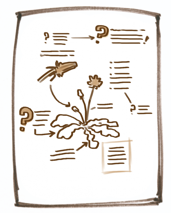How to Teach Nature Journaling - Activity - Questioning Questions ...