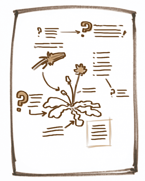 How to Teach Nature Journaling - Activity - Questioning Questions ...