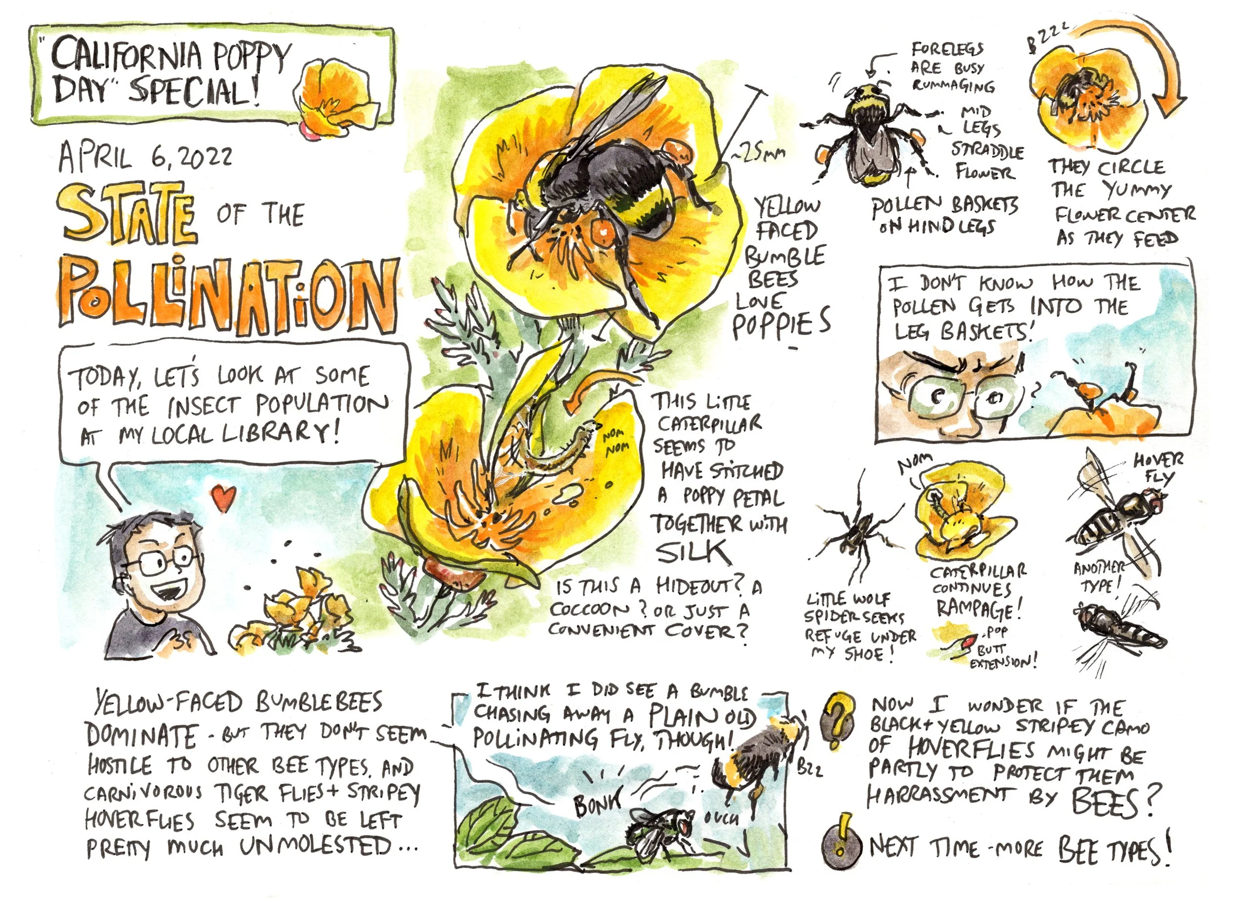 What is Nature Journaling? — Wild Wonder Foundation