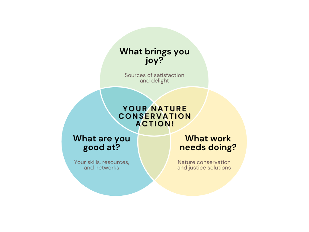 Take Action: Conservation and Stewardship — Wild Wonder Foundation