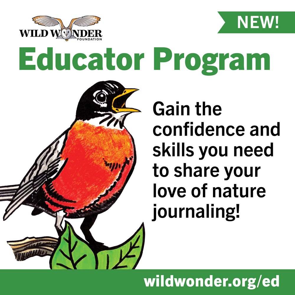 How to Teach Nature Journaling — Wild Wonder Foundation