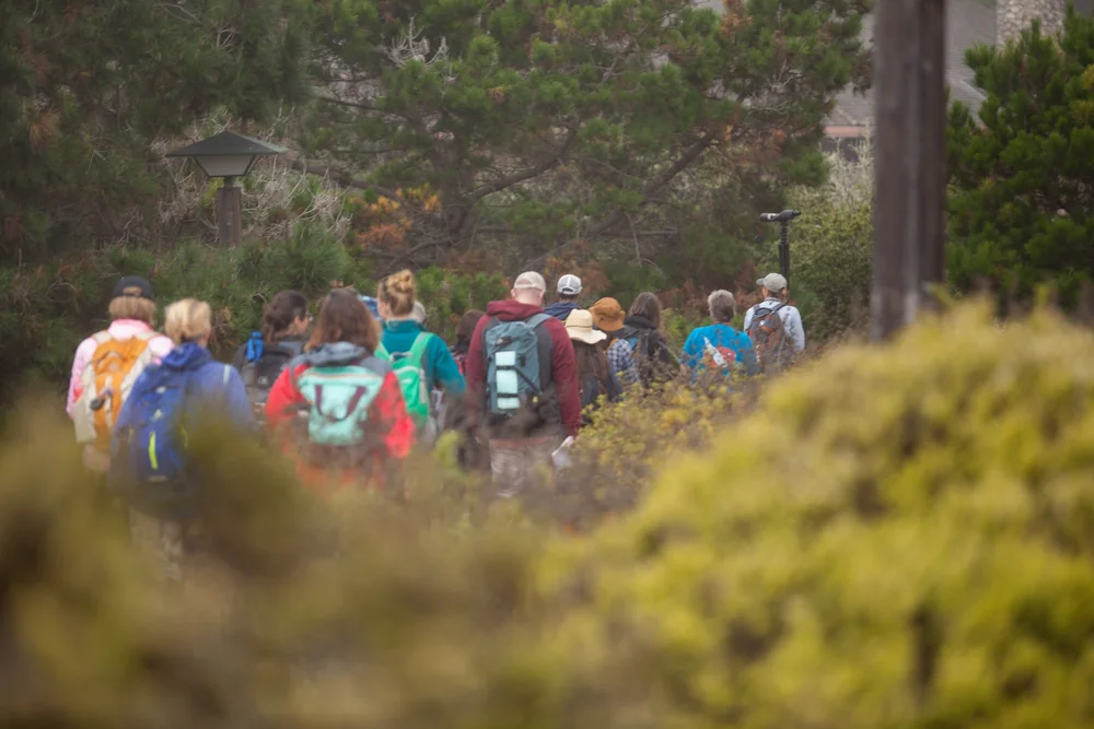 Values — Wild Wonder Foundation