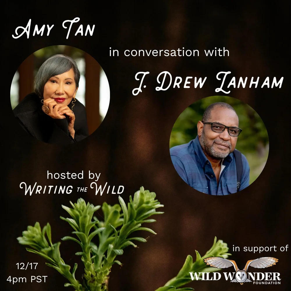 Wild Wonder Foundation