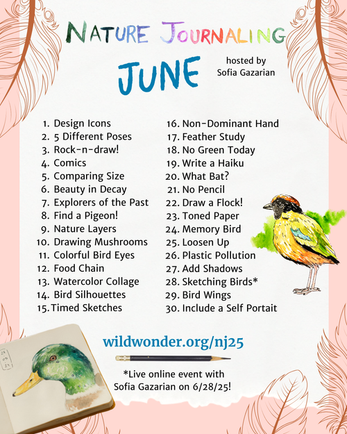 A Year of Nature Journaling Prompts — Wild Wonder Foundation