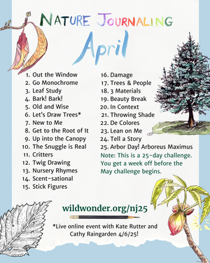 A Year of Nature Journaling Prompts — Wild Wonder Foundation