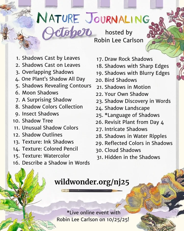 Nature Journaling August — Wild Wonder Foundation