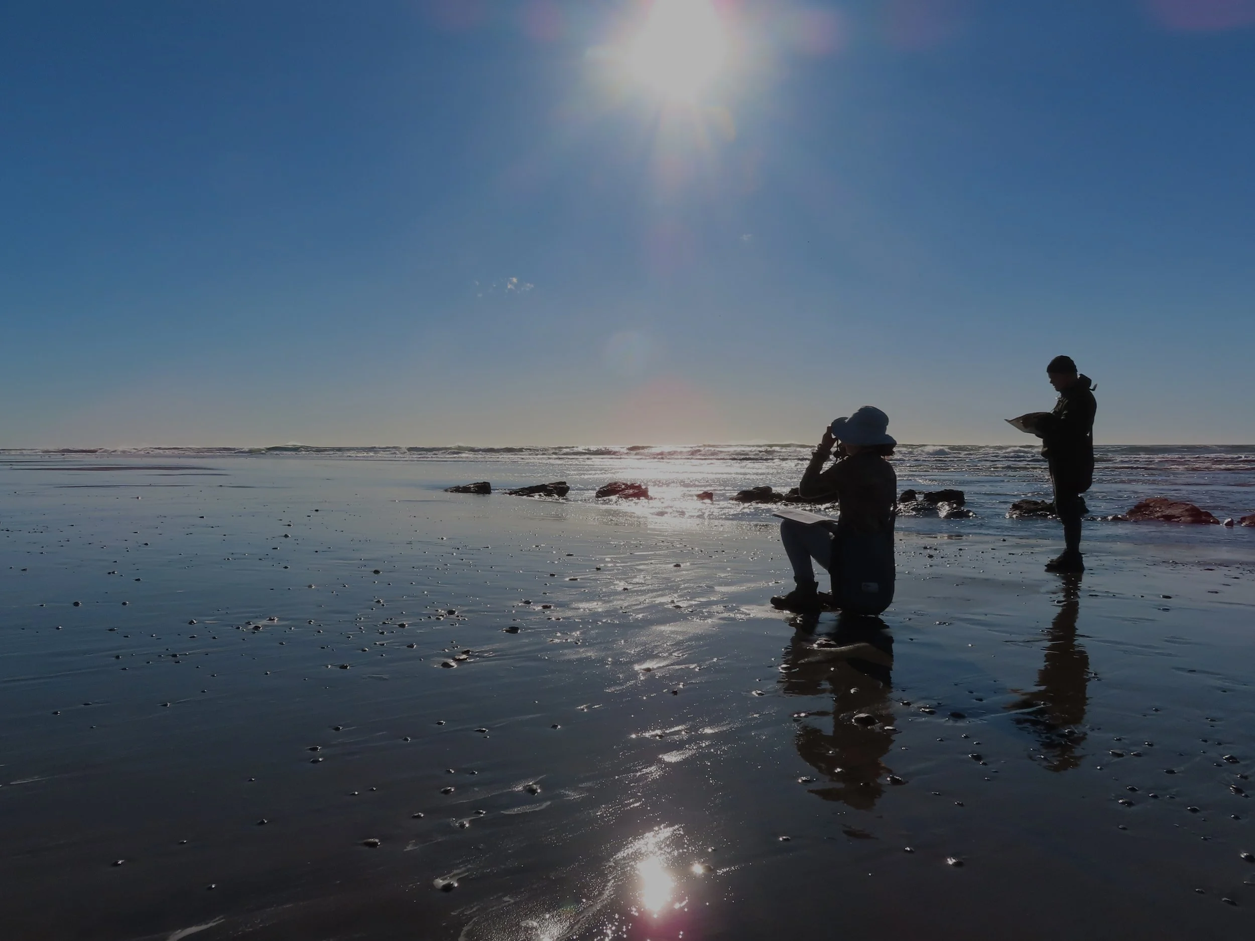 Wild Wonder Foundation