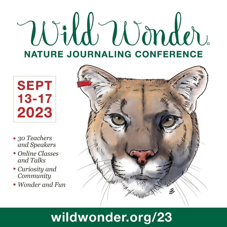 Nature Journaling Resources — Wild Wonder Foundation