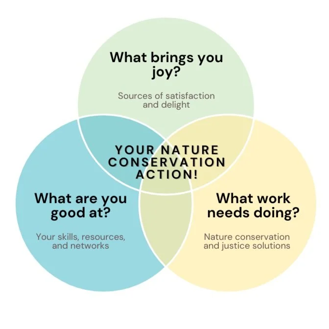 Take Action: Conservation and Stewardship — Wild Wonder Foundation