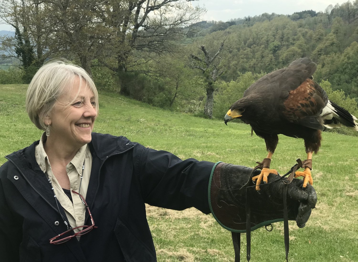 2025 Nature Journaling Educators Workshop with John Muir Laws — Wild ...