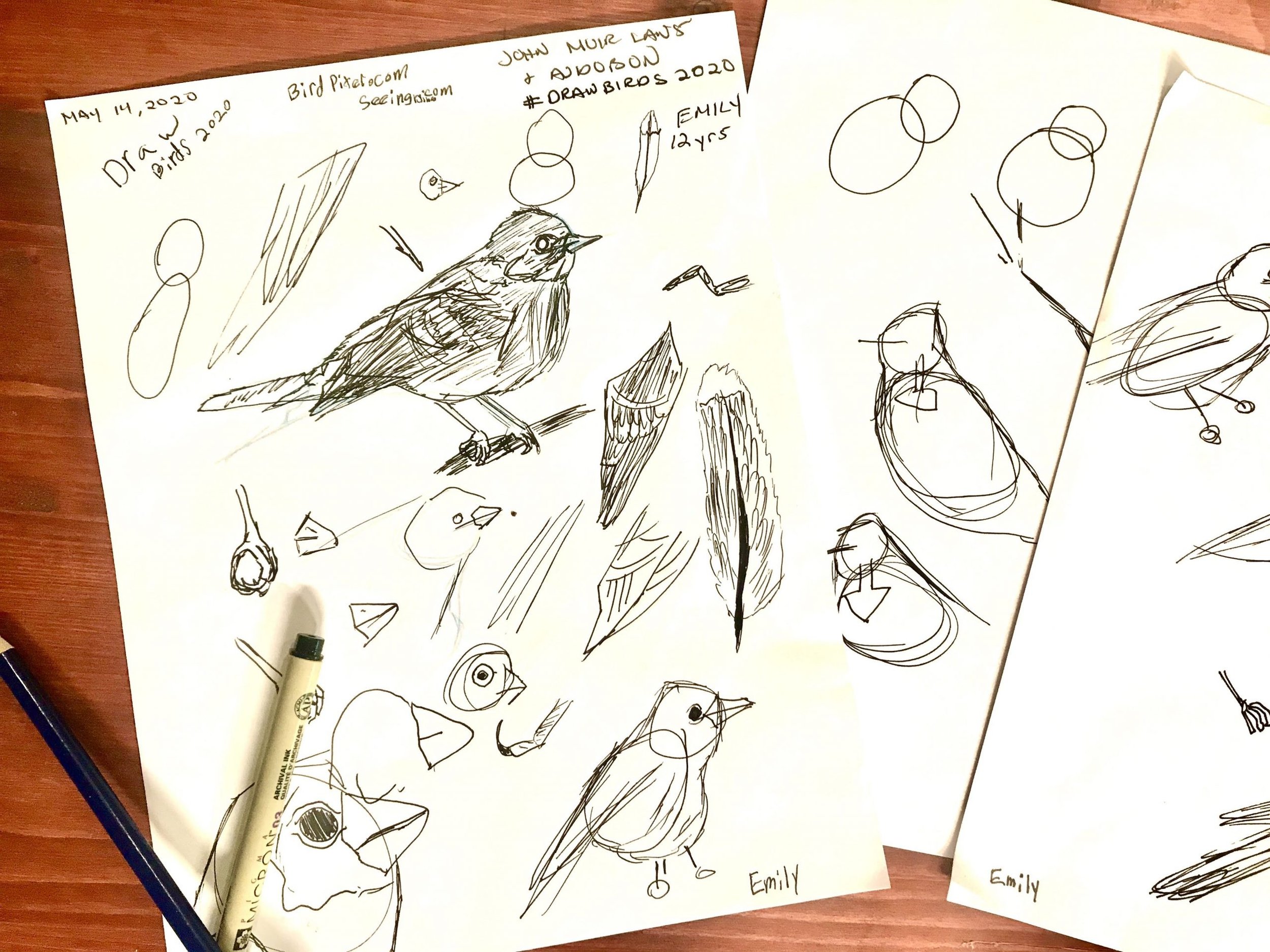 How to Teach Nature Journaling - Educator Support — Wild Wonder Foundation