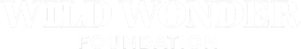 Nature Journaling Resources — Wild Wonder Foundation