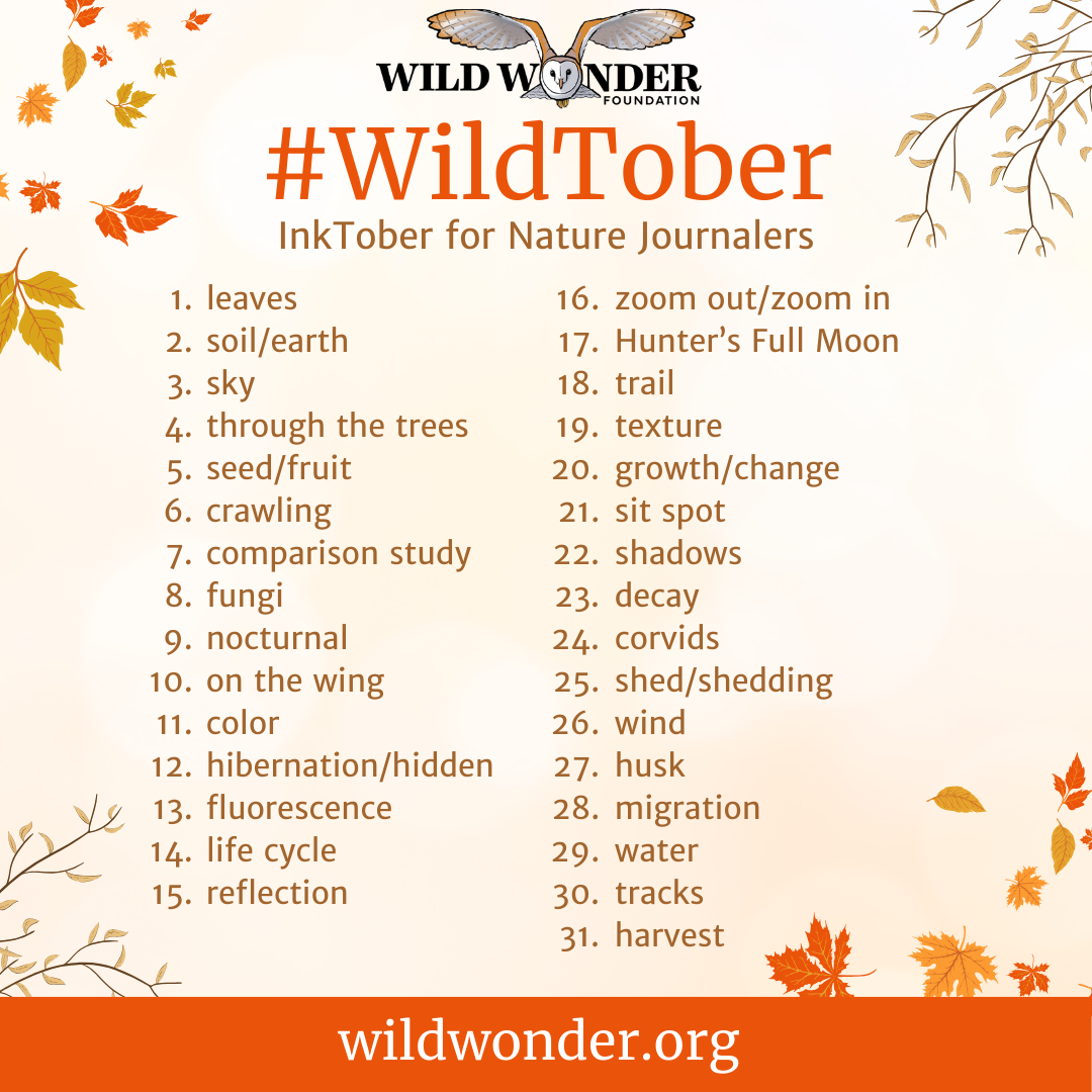Wild Wonder Foundation