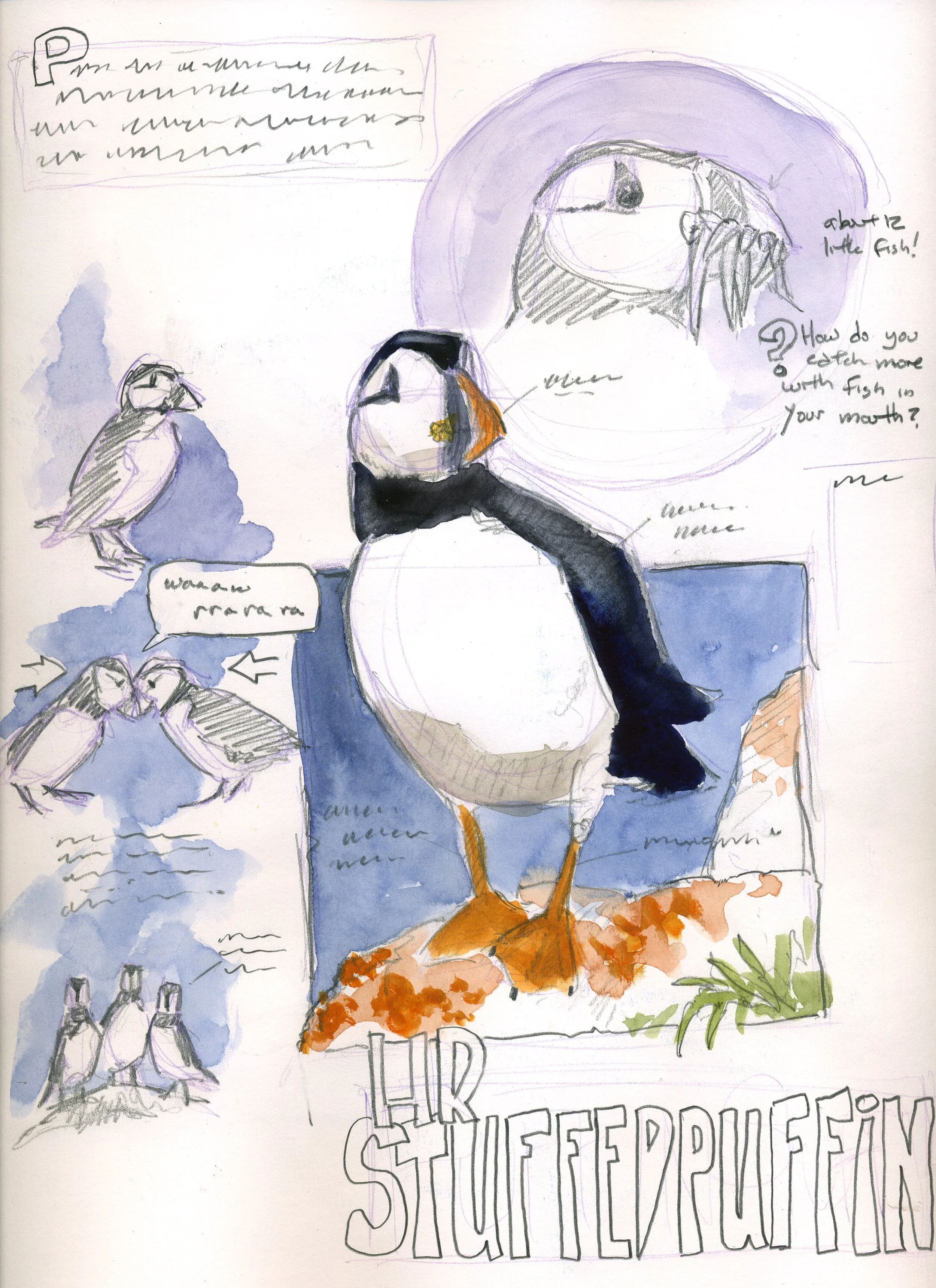 Events — Wild Wonder Foundation