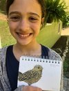 How to Teach Nature Journaling - Activities — Wild Wonder Foundation