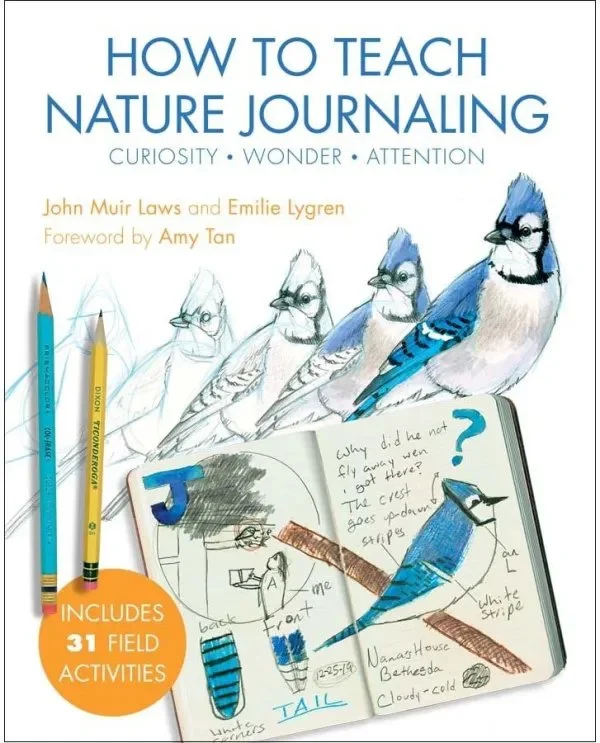 How to Teach Nature Journaling — Wild Wonder Foundation