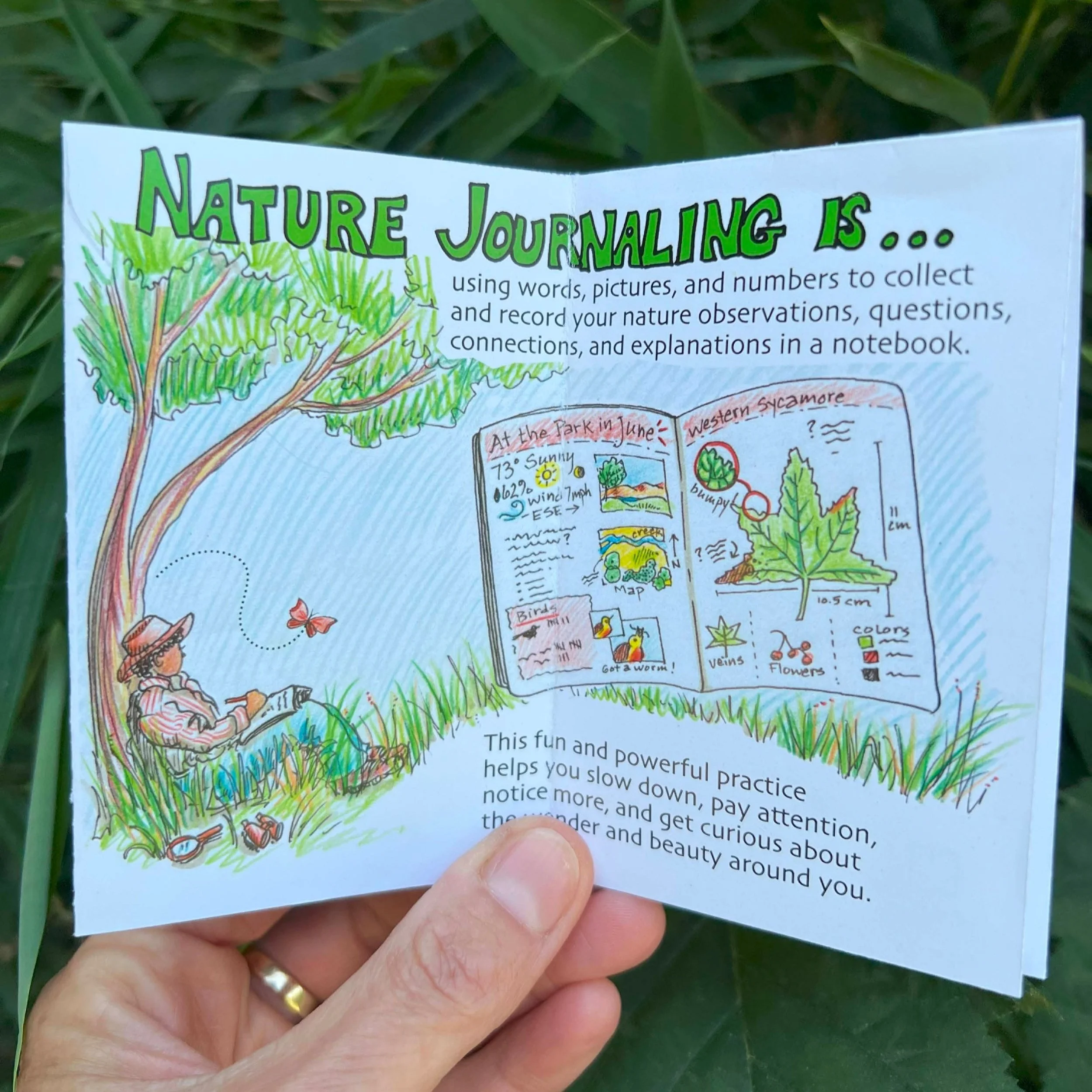 Wild Wonder Foundation