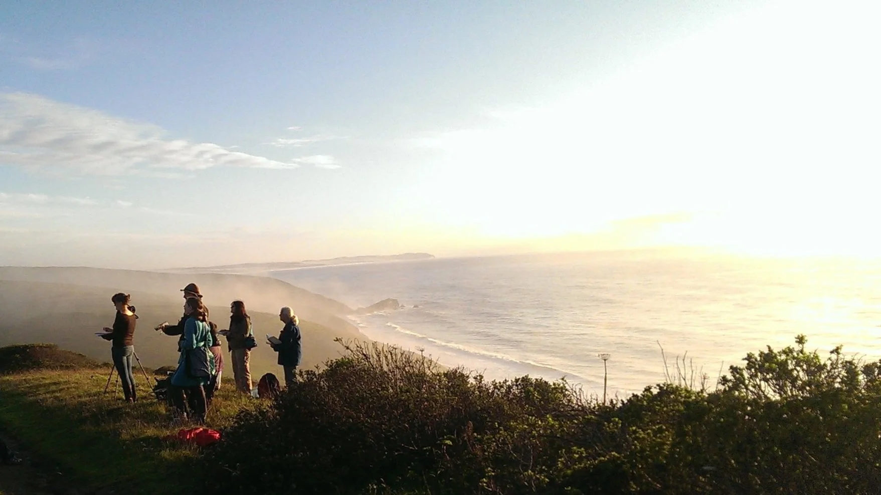 Events — Wild Wonder Foundation