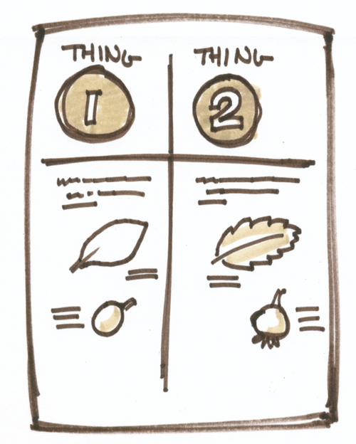 How to Teach Nature Journaling - Activities — Wild Wonder Foundation