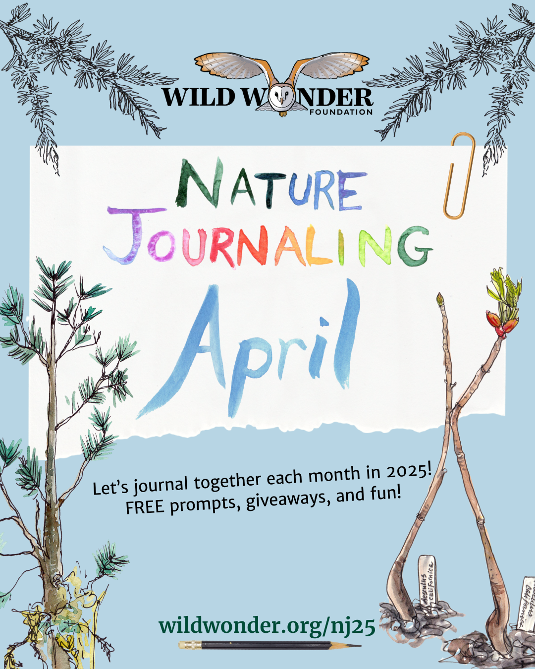 Nature Journaling April — Wild Wonder Foundation