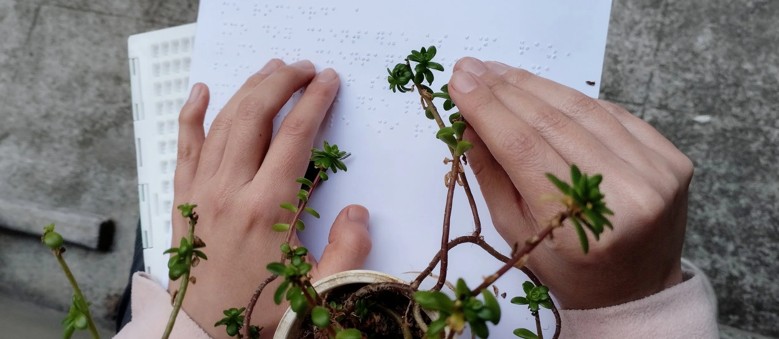 Micro Grant Fellows — Wild Wonder Foundation