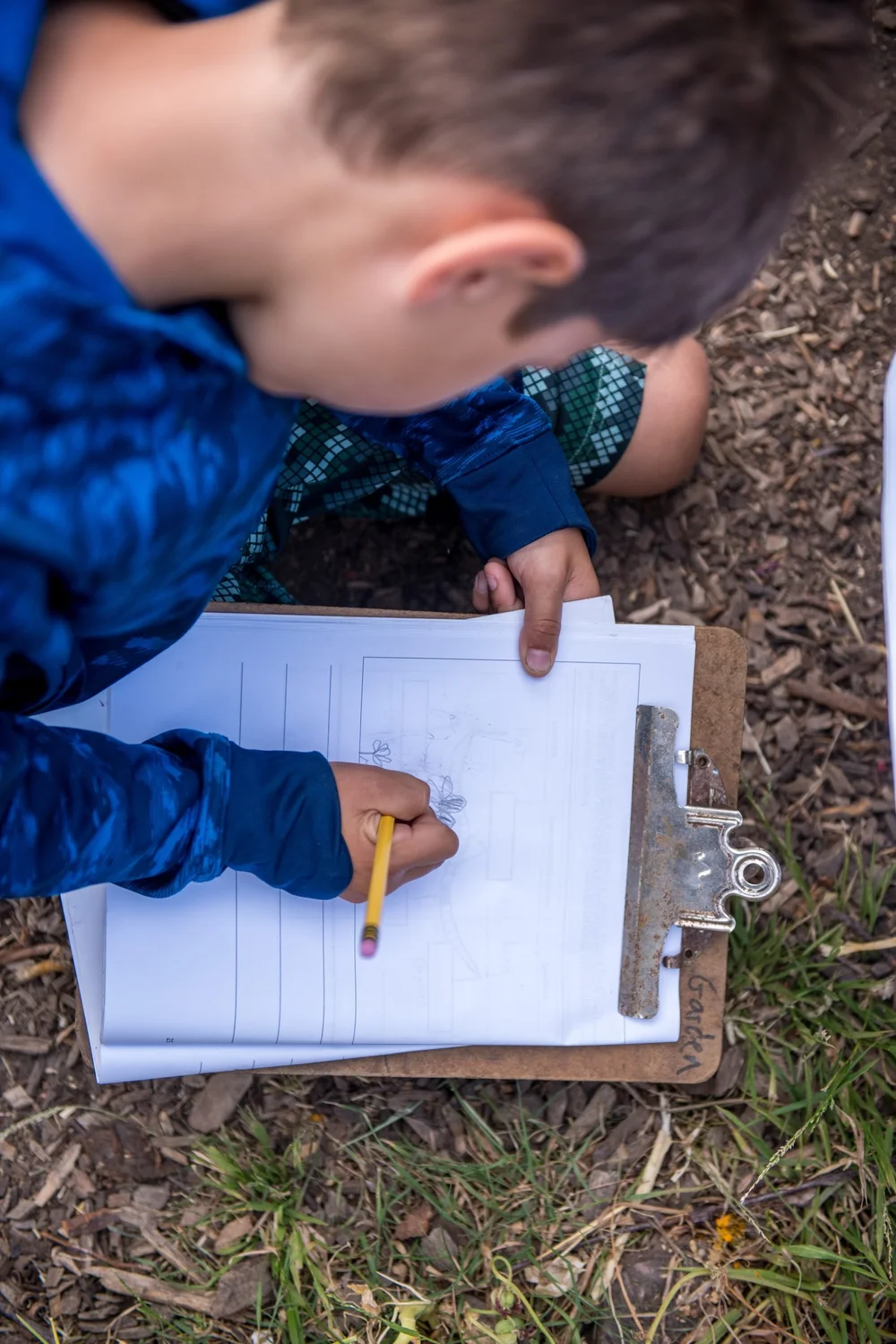 How to Teach Nature Journaling - Support Topic - Giving Feedback on ...