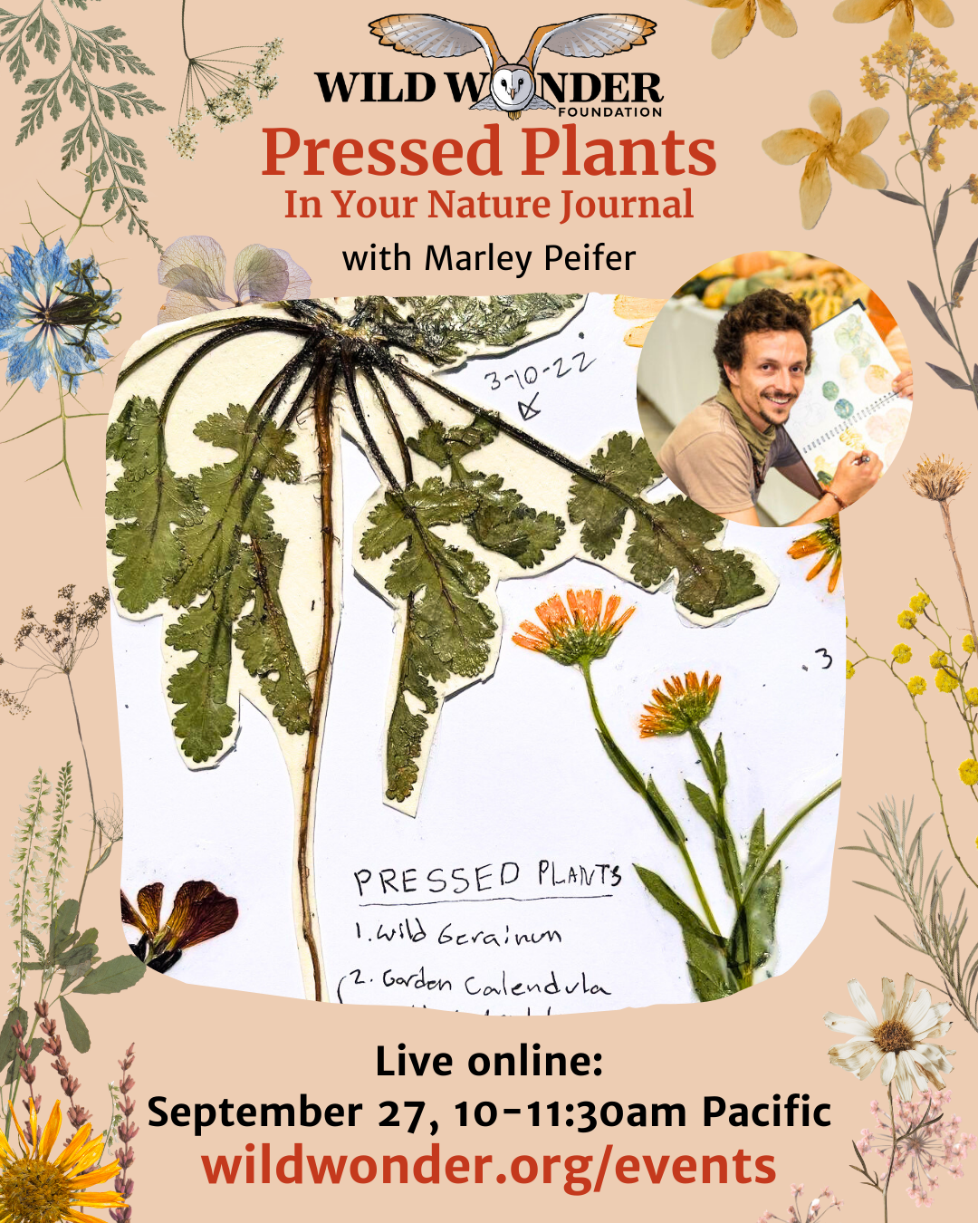 Nature Journaling August — Wild Wonder Foundation