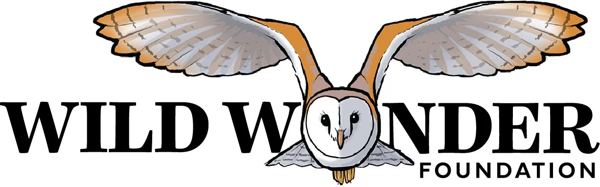 About — Wild Wonder Foundation