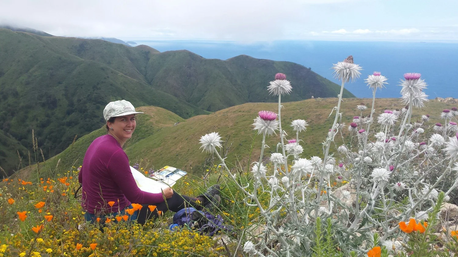 2026 Nature Journaling Educators Workshop with John Muir Laws — Wild ...
