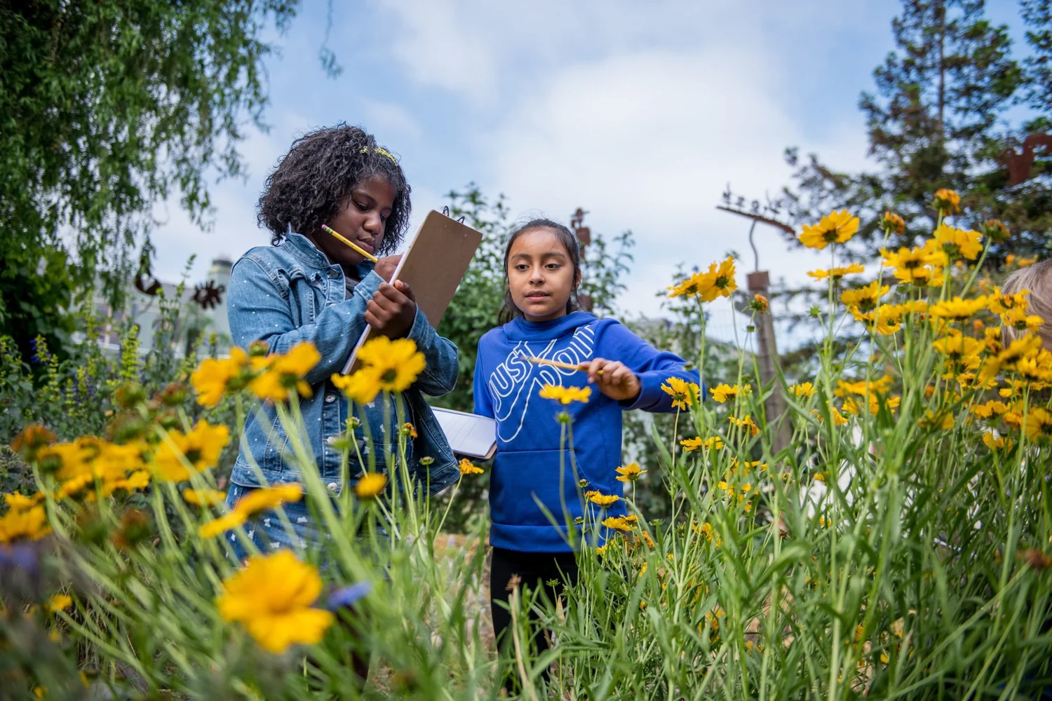 How to Teach Nature Journaling — Wild Wonder Foundation