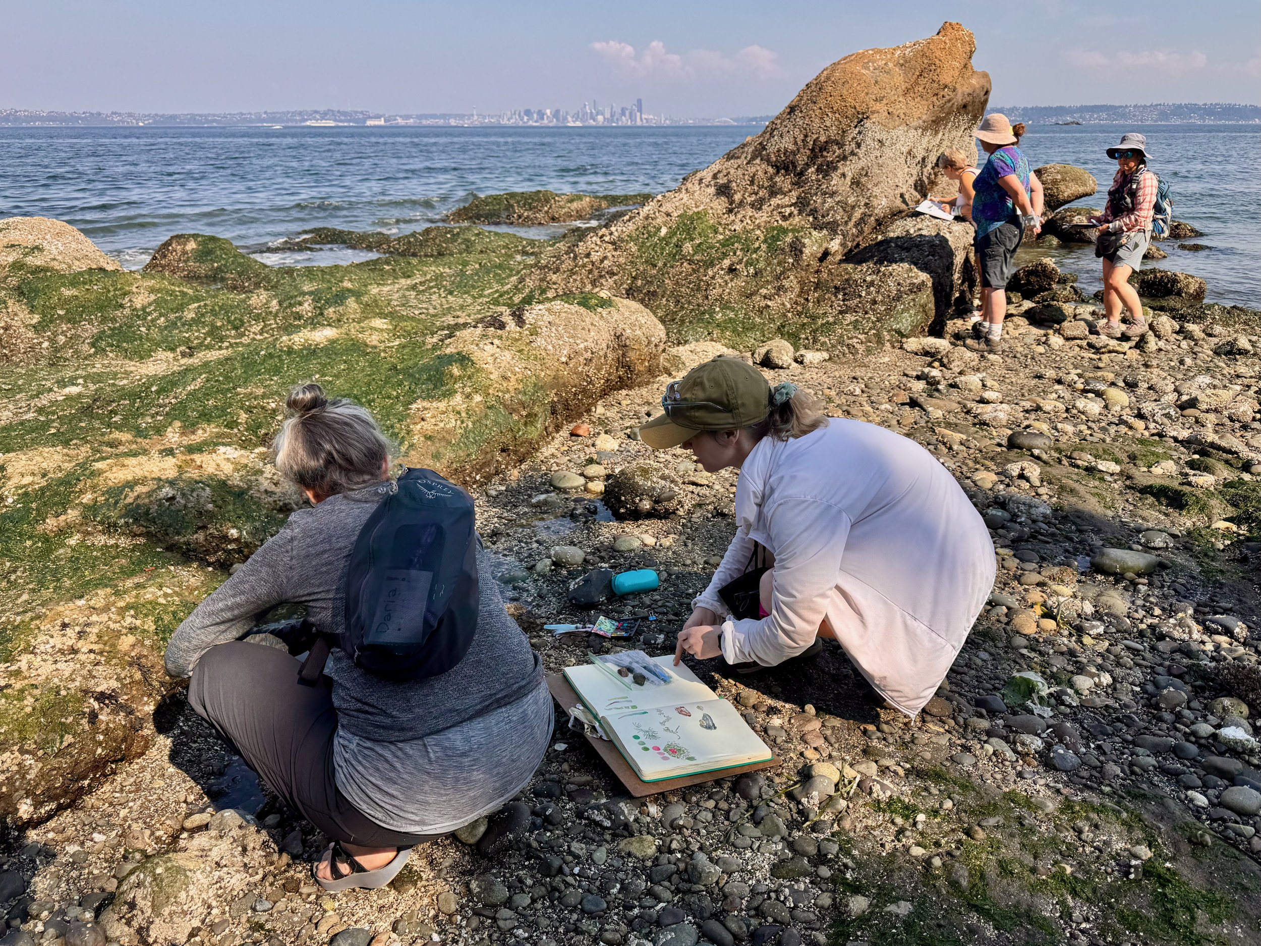 2026 Wild Wonder Nature Journaling Adventures — Wild Wonder Foundation