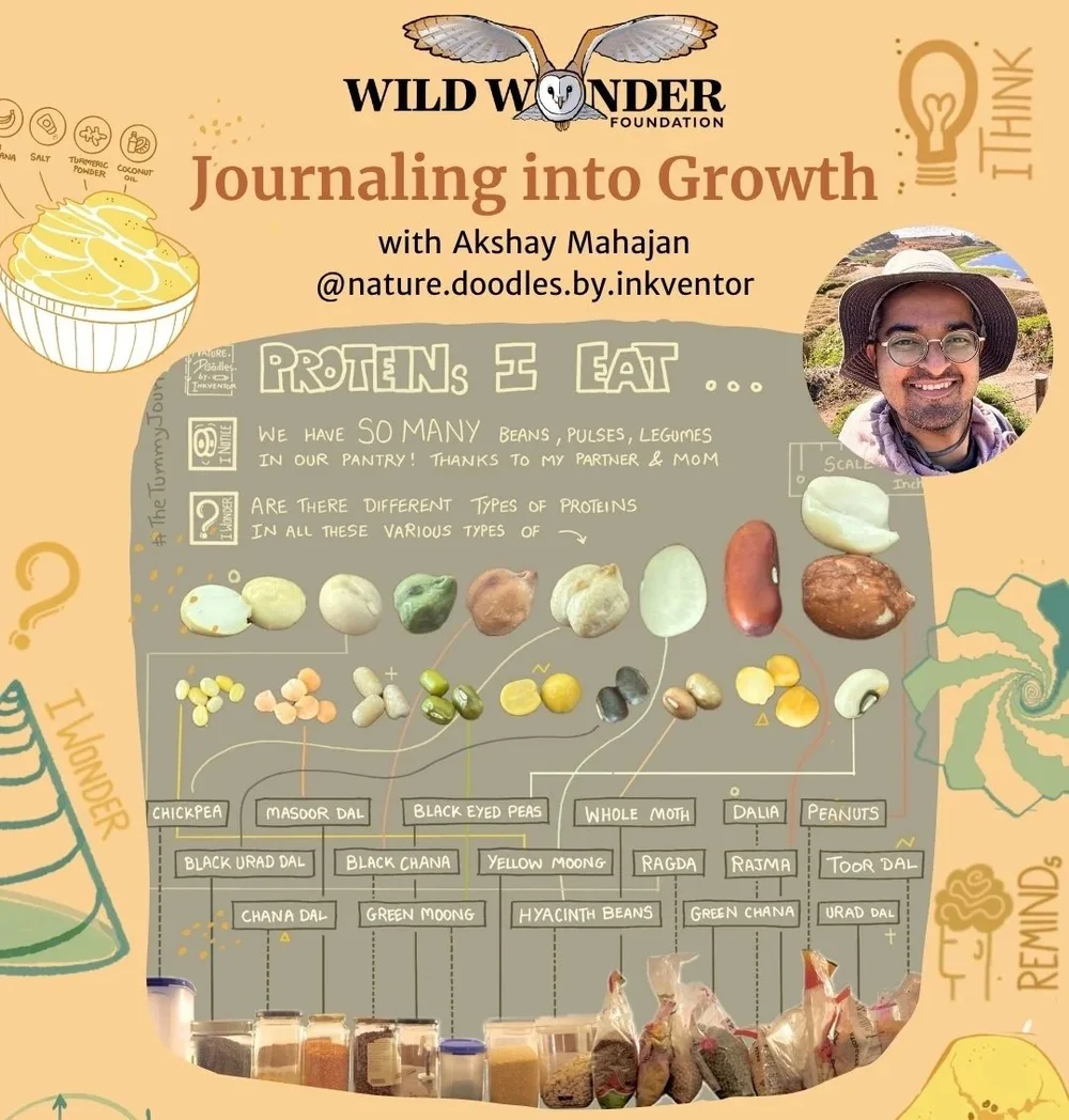 2026 Nature Journaling Educator Workshop — Wild Wonder Foundation