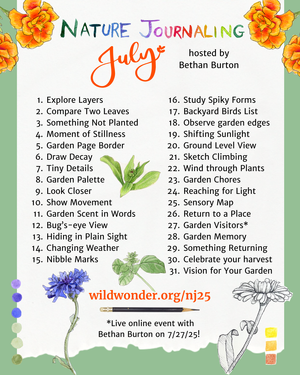 A Year of Nature Journaling Prompts — Wild Wonder Foundation