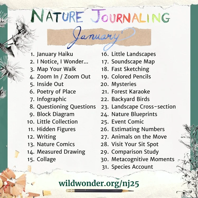 Nature Journaling January — Wild Wonder Foundation