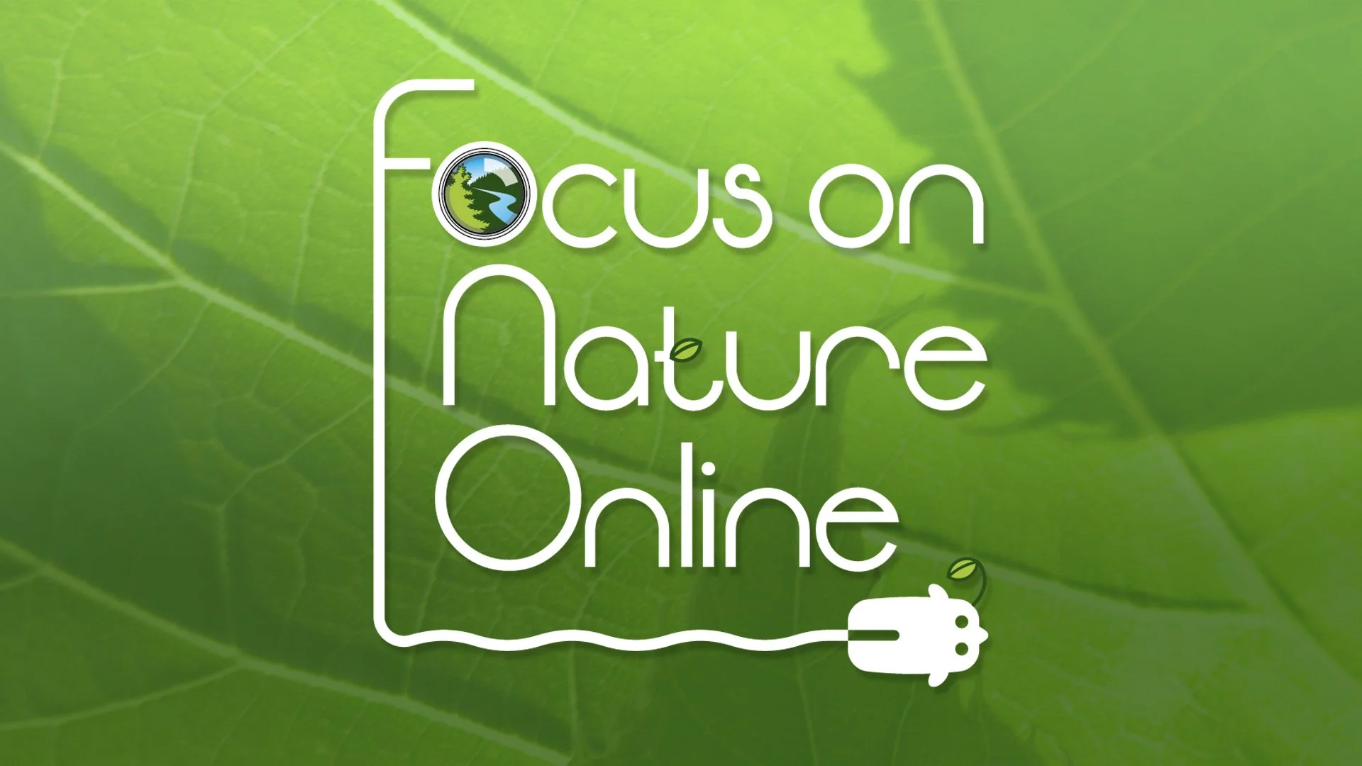 Focus on Nature
