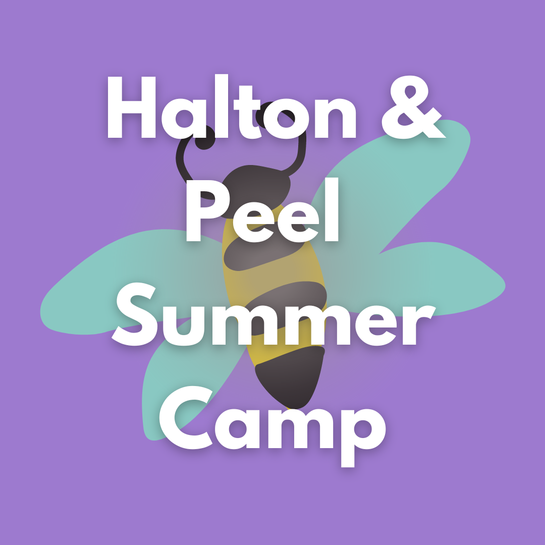 Guelph Summer Camps — Focus on Nature