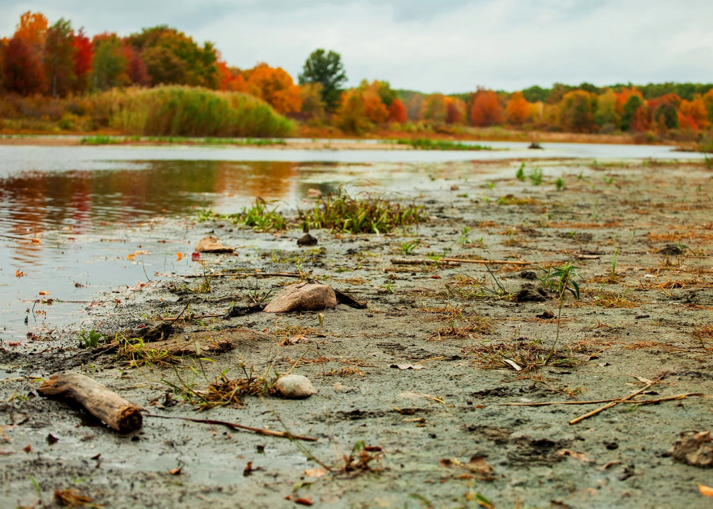 Drought — Charles River Watershed Association