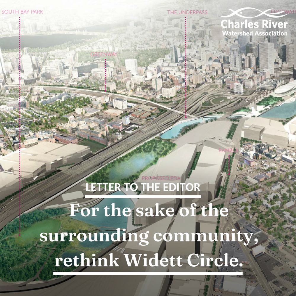 Wetlands for Widett Circle — Charles River Watershed Association