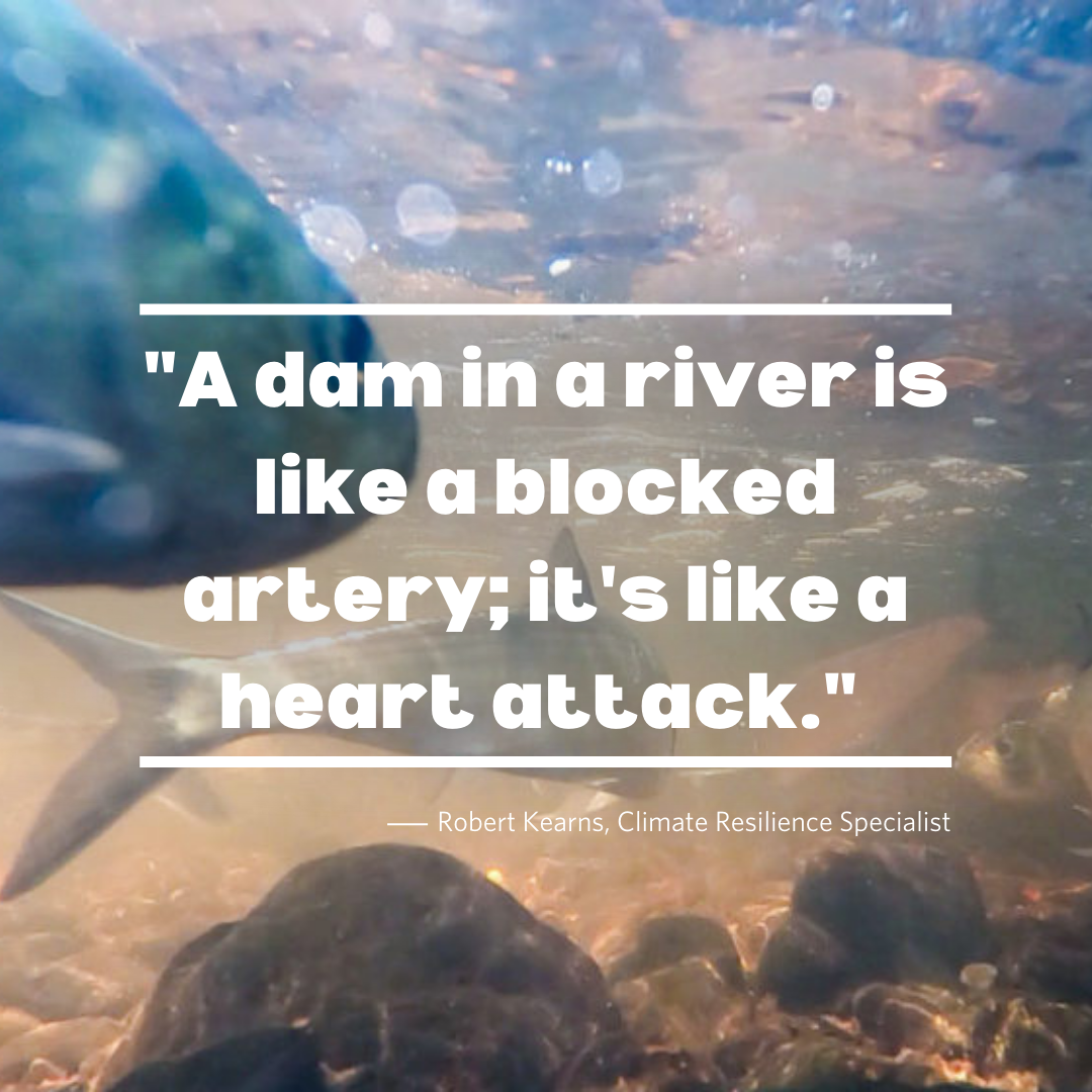 Dam Removal — Charles River Watershed Association