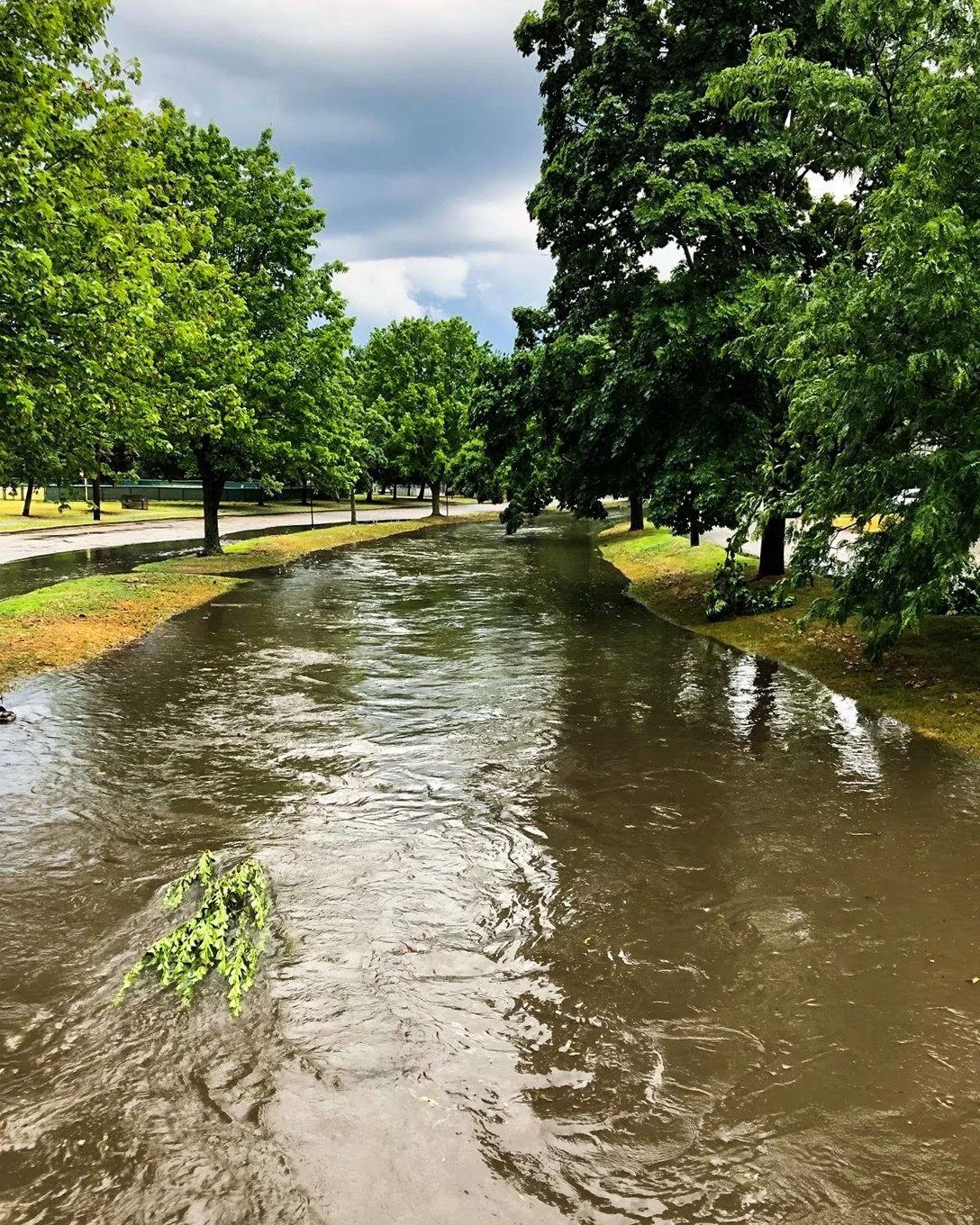 River Current — Charles River Watershed Association
