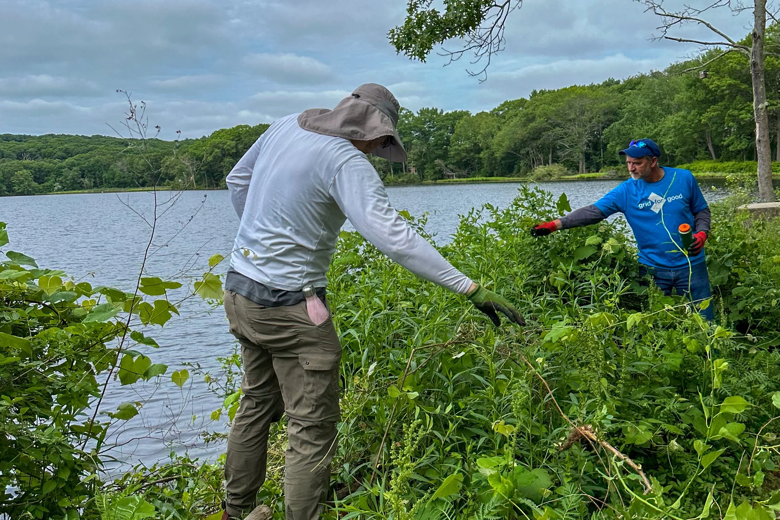 River Restoration — Charles River Watershed Association