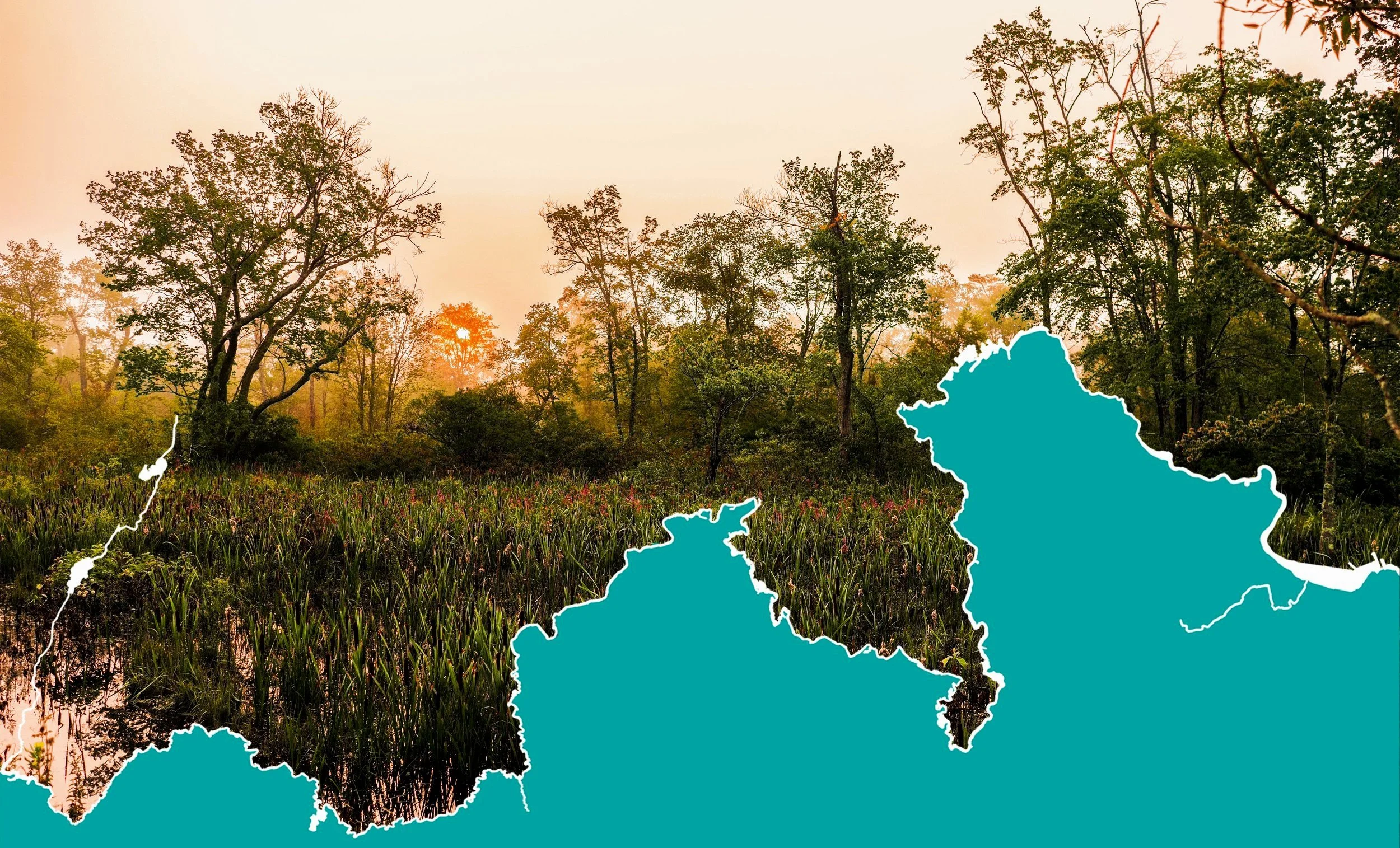 Charles River Watershed Association